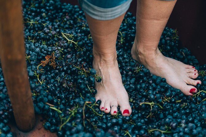 Private Grape stomping at Chianti Farmhouse - FAQs