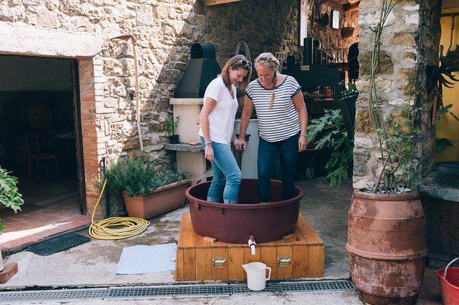 Private Grape stomping in Chianti from Siena - The Experience: A Deep Dive
