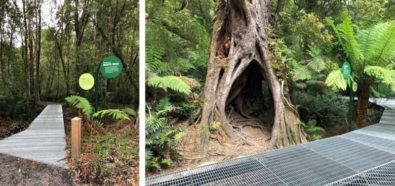 Private Great Ocean Road & 12 Apostles Experience - The Itinerary: A Closer Look