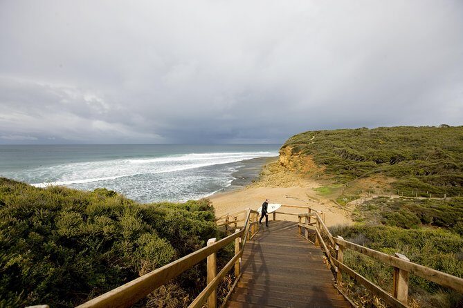 Private Great Ocean Road and Twelve Apostles Tour from Melbourne - Real Traveler Feedback