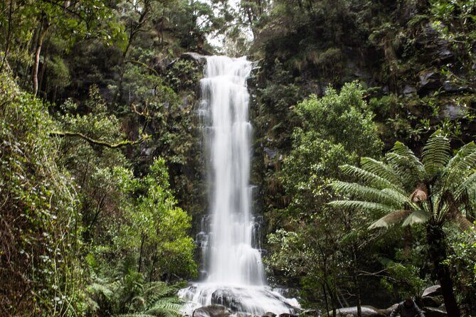 Private Great Ocean Road - The Ultimate Aussie Adventure - What the Tour Includes — and What It Doesn’t