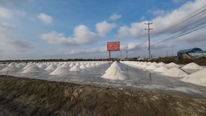 Private Green Journey to Mae Klong & Damnoen Saduak - The Value of This Experience