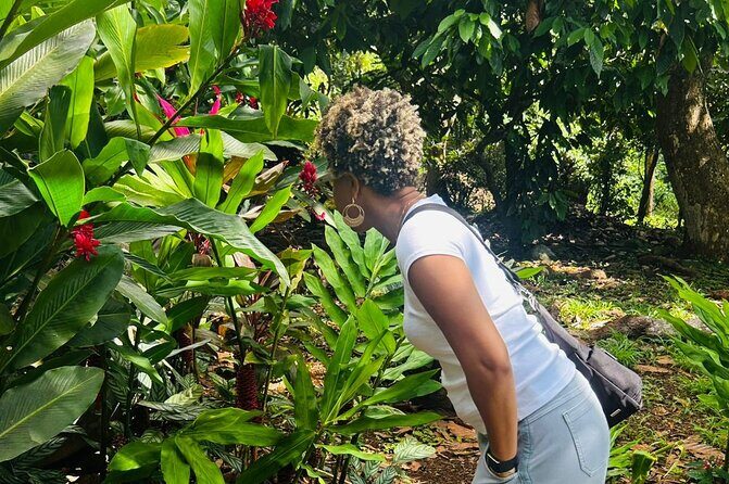 Private Grenada Island Tour Rum, Spice Garden & Grand Anse Beach - Discovering Grenada’s Rum Heritage at Westerhall Estate