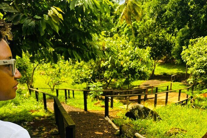 Private Grenada Island Tour Rum, Spice Garden & Grand Anse Beach - Practical Details & Value