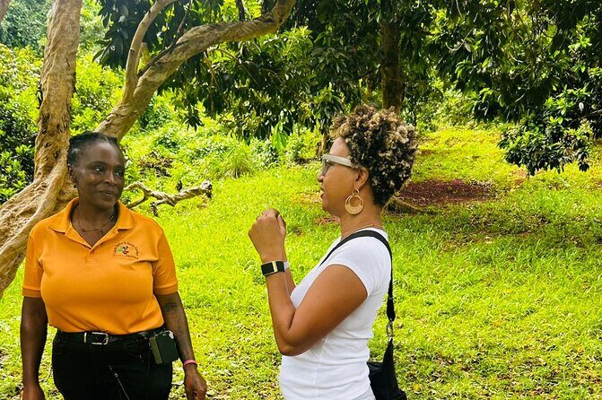 Private Grenada Island Tour Rum, Spice Garden & Grand Anse Beach - The Sum Up: Is This Tour Right for You?