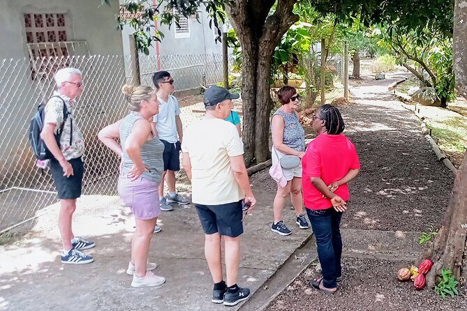 Private Grenada Spice Tour: Explore Lauras Herb & Spice Garden - The Sum Up