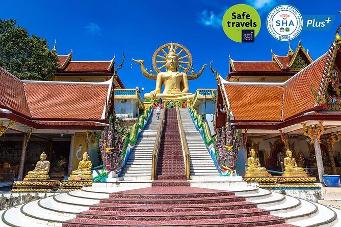 Private Group City Tour Around Koh Samui - What the Experience Means for You