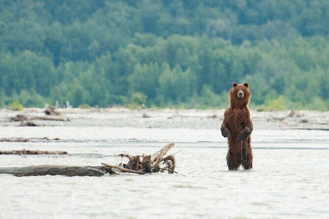 Private Group Eagle Preserve Float Trip in Haines - Who Will Love This Experience?