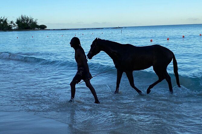 Private Group Hunte's Gardens Tour - Key Points