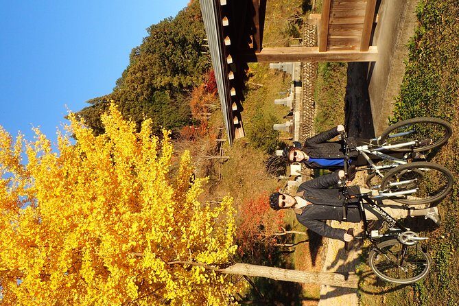 Private-group Morning Cycling Tour in Hida-Furukawa - The Sum Up