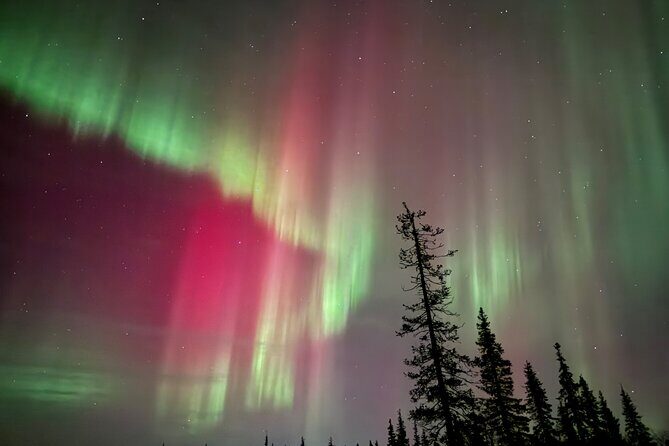 Private Group: Northern Lights Hunt 4x4 SUV with Aurora guarantee - Pricing and Value