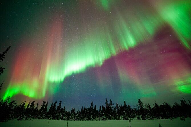 Private Group: Northern Lights Hunt 4x4 SUV with Aurora guarantee - Who Should Book This Tour?