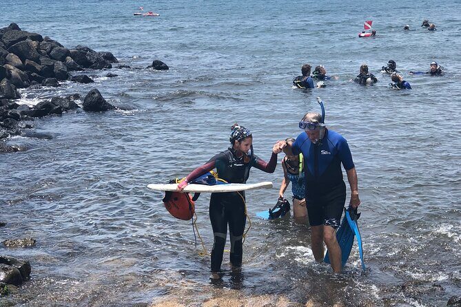 Private Group Snorkel Adventure on Tropical Reef with Sea Turtles - An In-Depth Look at the Snorkel Adventure