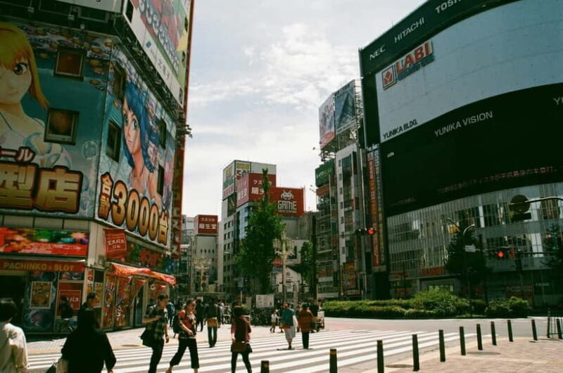 Private Group Tokyo Day Tour in a car or van - Who Will Love This Tour?