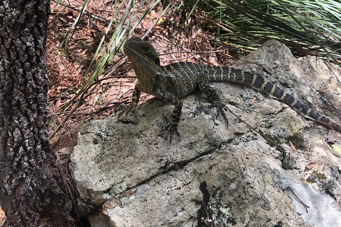 Private Group Tour Brisbane & Gold Coast Personal Tours - Final Thoughts