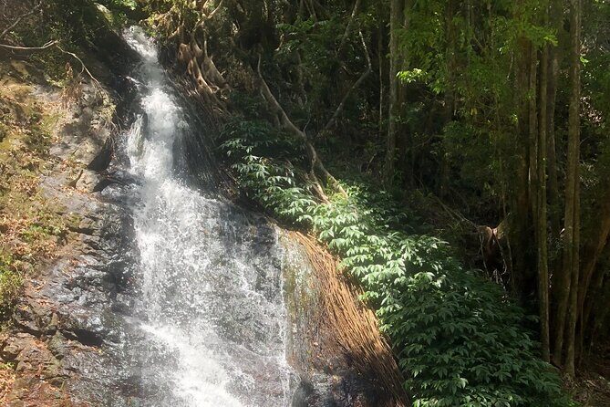 Private Group Tour Brisbane & Gold Coast Personal Tours - The Sum Up