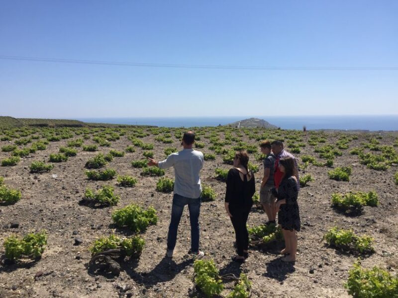Private Group Visit to Akrotiri & 3 Wineries with Tastings - Who is This Tour Best For?