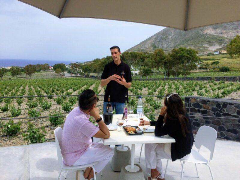 Private Group Visit to Akrotiri & 3 Wineries with Tastings - Final Thoughts: Who Will Truly Benefit?