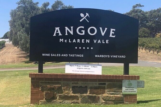 Private Group Wine Tasting in McLaren Vale - What Makes This Tour Stand Out?