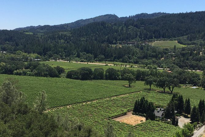 Private Group Wine Tour of Napa and Sonoma - Introduction: What to Expect from This Napa and Sonoma Experience