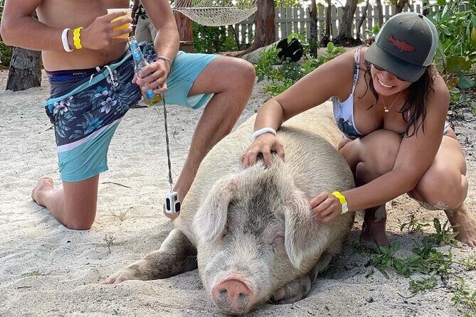 Private GroupTour Pigs/Turtles/Snorkeling/Lunch/Pickup/Dropoff - Nassau’s Best-Kept Secret: A Private Marine Adventure