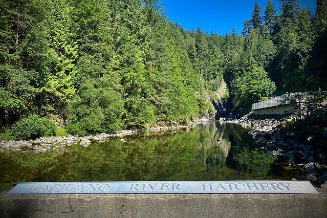Private Grouse Mountain and Capilano Park Tour in Vancouver - Who Should Consider This Tour?