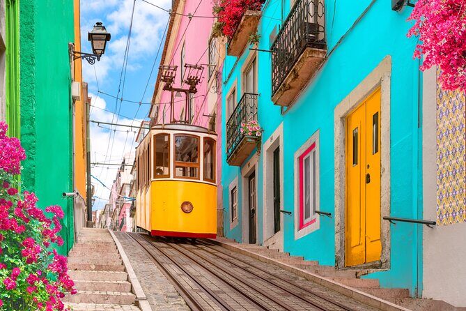 Private Guided 8 hours Tour in Lisbon - The Practical Details and Value