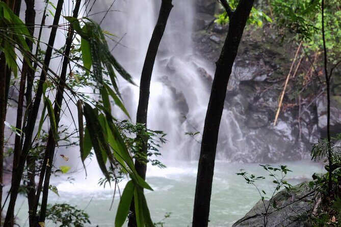 Private Guided Adventure in Nadi with Pick-up - An In-depth Look at the Tour Itself