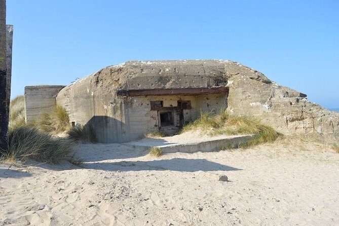 Private guided American D-Day Tour from Cherbourg Cruise Port - The Practical Side: What to Expect