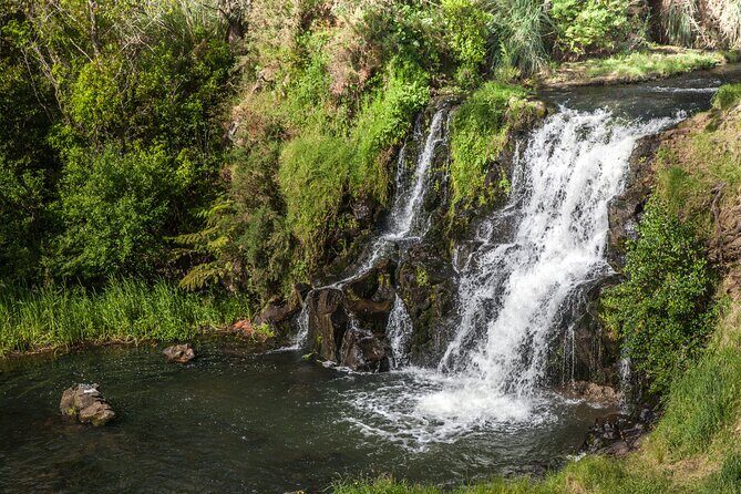 Private Guided Auckland Waterfalls Tour - A Detailed Look at the Auckland Waterfalls Tour