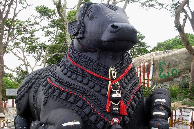 Private Guided Bangalore Experience - Who Should Consider This Tour?