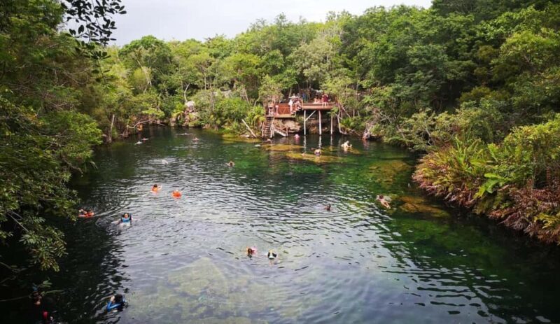 Private Guided Cave & Open Cenote Swim with Lunch - Why This Tour Is a Great Value