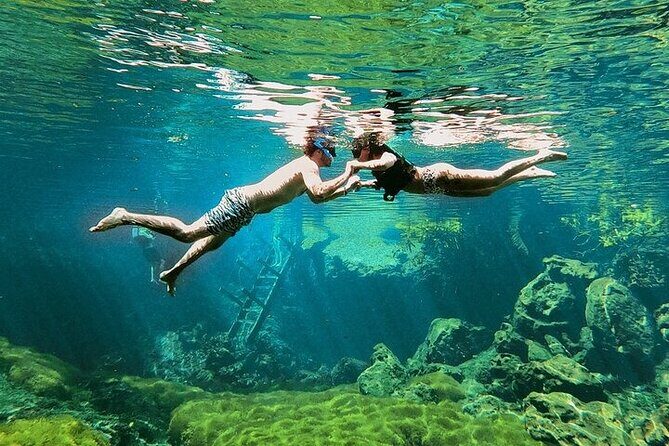 Private Guided Cenotes and Underground River Exploration - The Open Cenote at Chemuyil