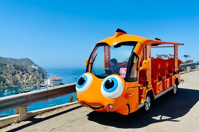 Private Guided City Tour up to 12 Passengers - An In-Depth Look at the Experience