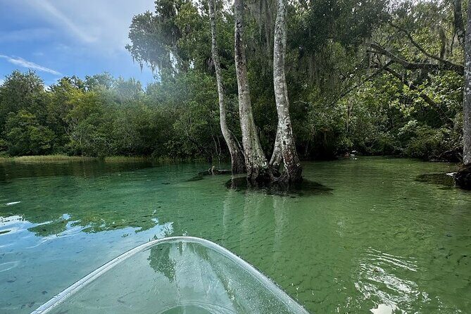 Private Guided Clear Kayak/Paddleboard Rentals on Rainbow River - A Deep Dive into the Rainbow River Experience