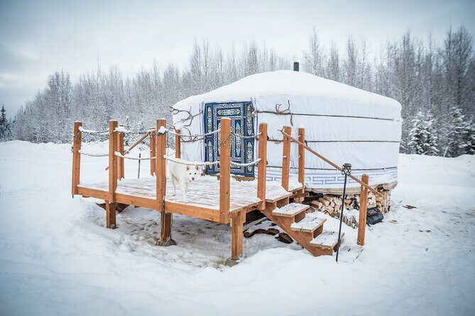 Private Guided Dog Sledding on the Historic Yukon Quest Trail - A Genuine Taste of Alaskan Dog Mushing