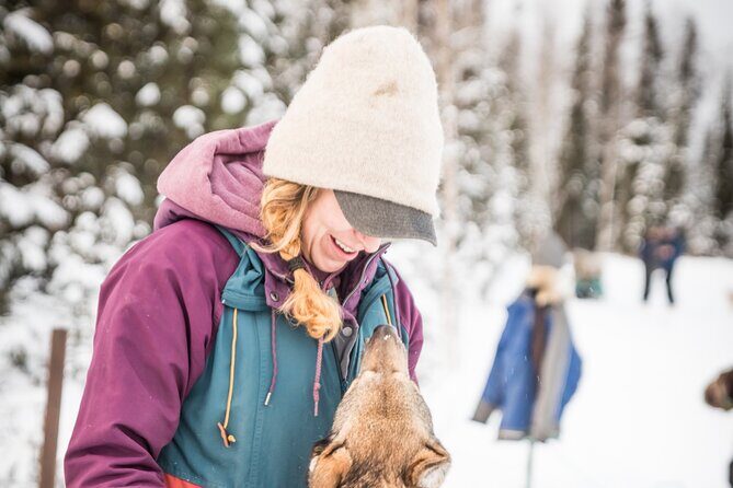 Private Guided Dog Sledding on the Historic Yukon Quest Trail - Comfort and Equipment