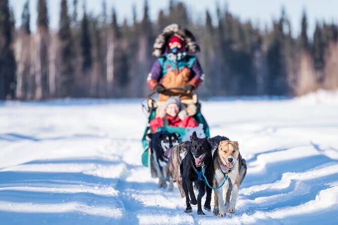 Private Guided Dog Sledding on the Historic Yukon Quest Trail - Value and Duration