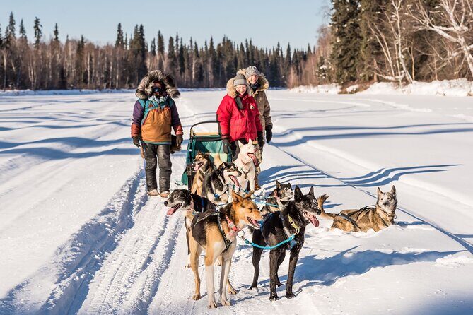 Private Guided Dog Sledding on the Historic Yukon Quest Trail - The Warm Finish