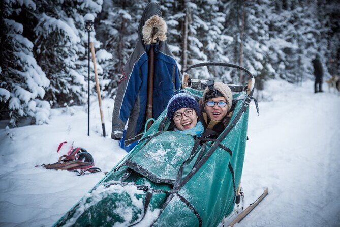 Private Guided Dog Sledding on the Historic Yukon Quest Trail - The Sum Up