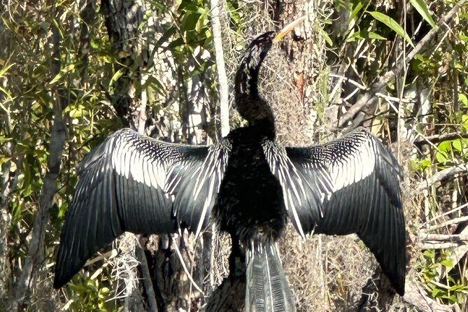 Private Guided Everglades Kayak Tour - Pricing Analysis: Is It Worth It?