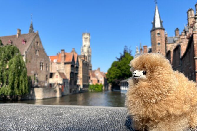 Private Guided Full-day in Antwerp and Brussels with Tastings - Mid-morning Visit: Diamonds and Artisan Crafts