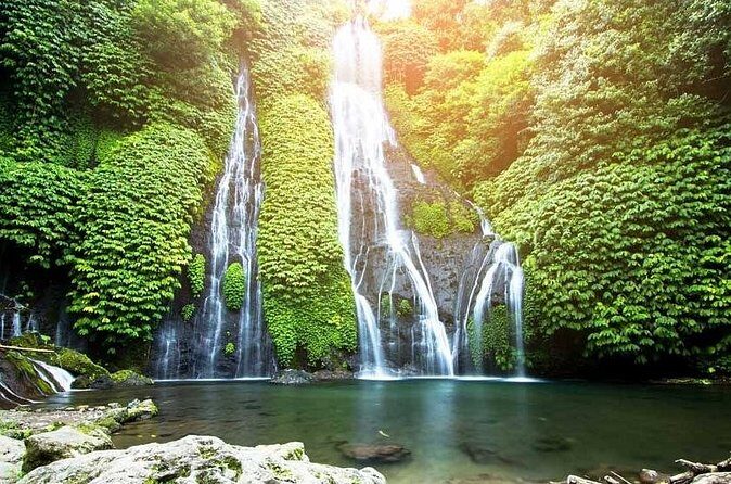 Private Guided Full-Day Tour to North Bali - Who Will Love This Tour?