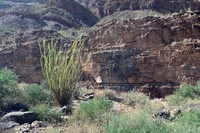 Private Guided Grand Canyon Tour in Arizona - Practicalities & Considerations