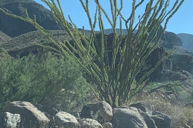 Private Guided Grand Canyon Tour in Arizona - Who Should Consider This Tour?