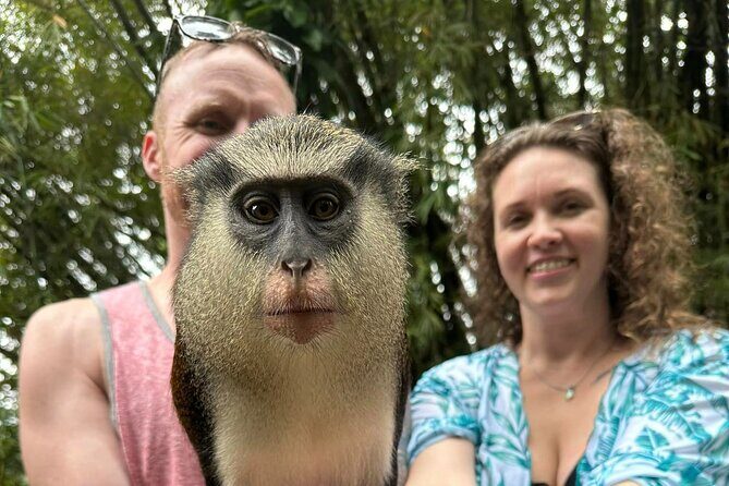 Private Guided Grenada Island Tour "BY THE HOUR" - What Makes This Tour Stand Out?