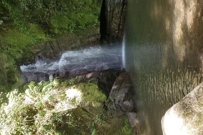 Private Guided Group Full-Day Water Tour fr Kingston to Portland - Who Should Consider This Tour?