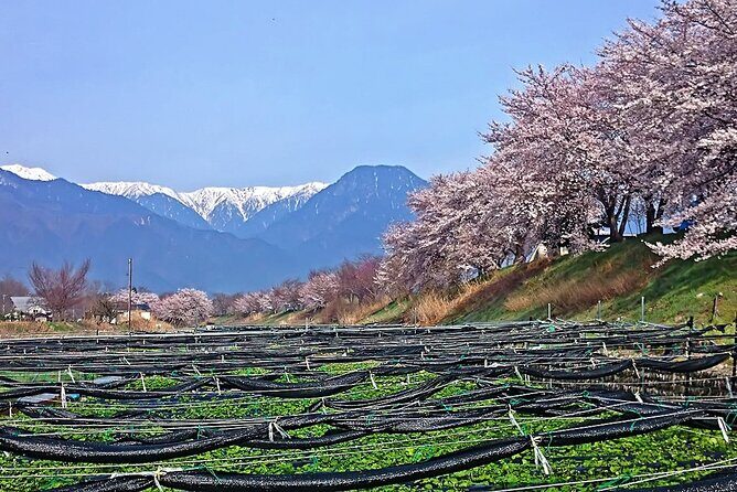 Private Guided Half Day Tour Visit in Nagano - Authenticity and Traveler Insights