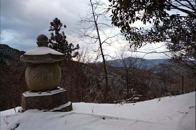 Private Guided Half-Day Walking Tour in Yoshinoyama - Key Points