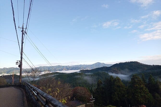 Private Guided Half-Day Walking Tour in Yoshinoyama - The Itinerary in Detail